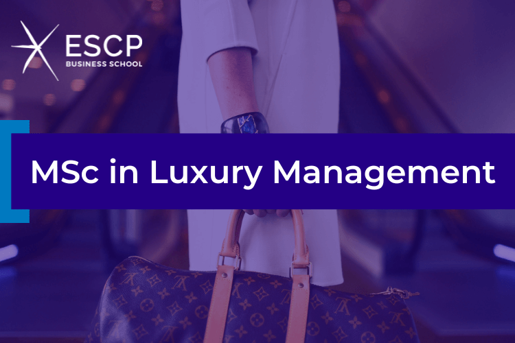 MSc in Luxury Management Info Session